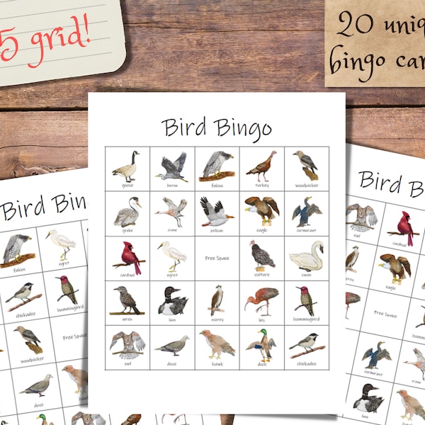 Bird Birthday Party - Etsy