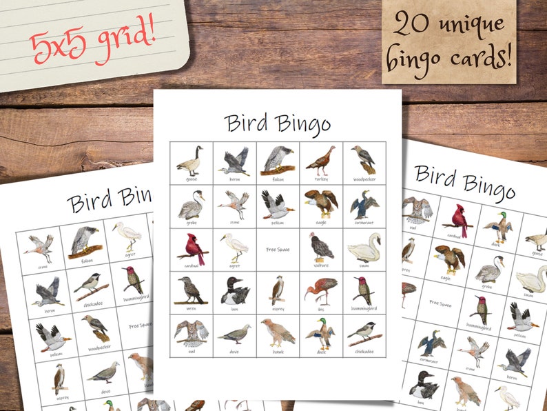 Bird Bingo Set: 20 Unique Bingo Cards With Calling Cards Kids' Birthday ...