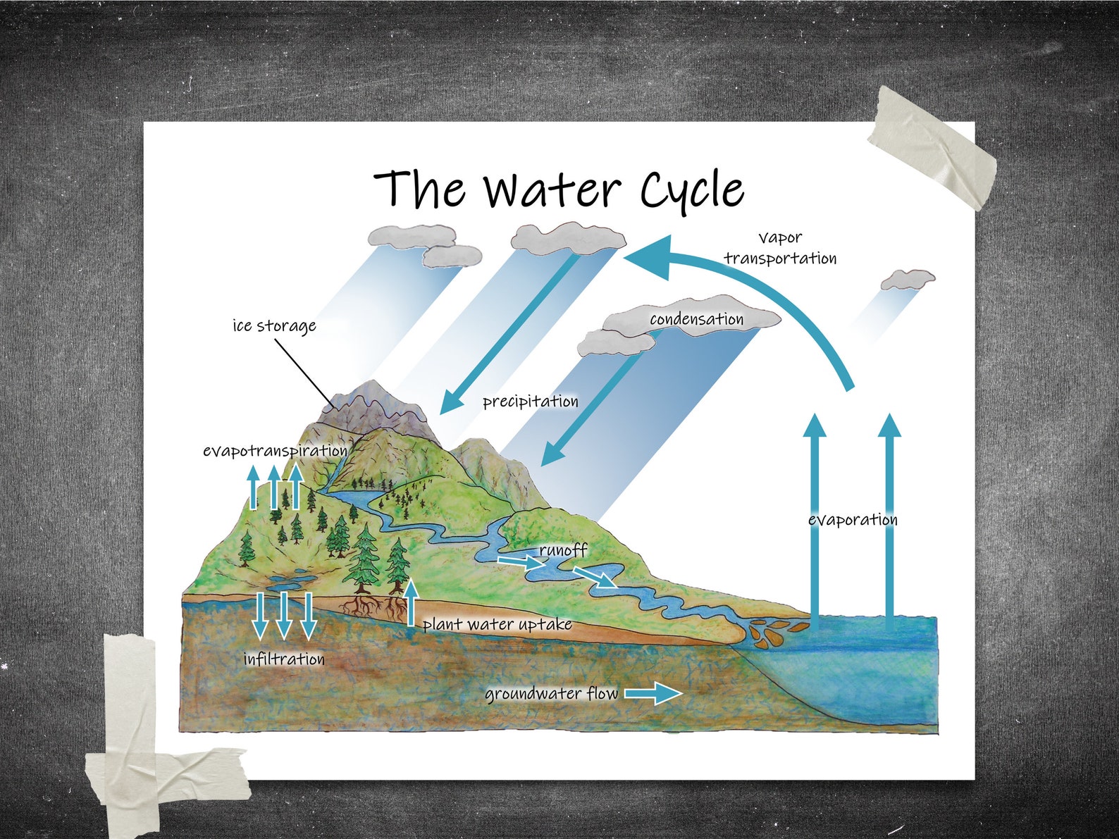 The Water Cycle Diagram: Printable Classroom Poster, Earth Science ...