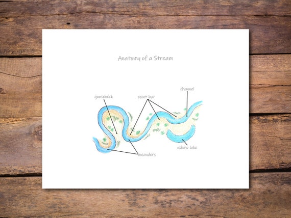 River Anatomy Map: Science Diagram Parts of a River - Etsy
