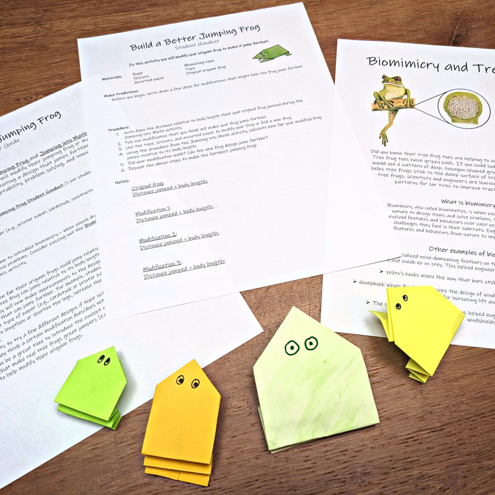 Origami Frog Engineering: STEM Mini Study, Printable Activities ...