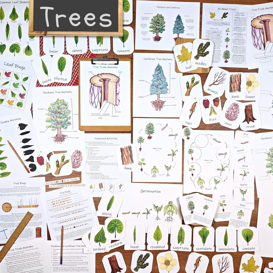 Trees Unit: Homeschool Science Printables & Activities (PDF Download ...