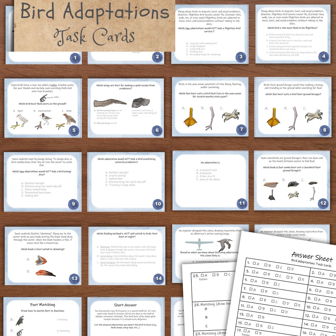 Bird Adaptations Task Cards: Homeschool Biology Curriculum (PDF ...