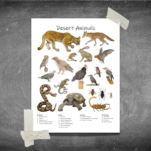 Sonoran Desert Animal & Plant Watercolor Poster Set (PDF Download) - Etsy