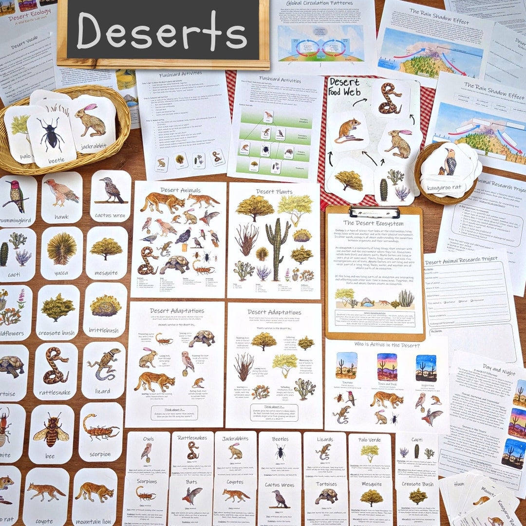 Desert Ecology Unit: Biome Study, Food Webs, Animal Adaptations (PDF ...