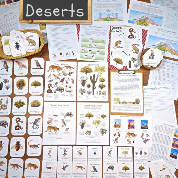 Desert Animal Adaptations Worksheet