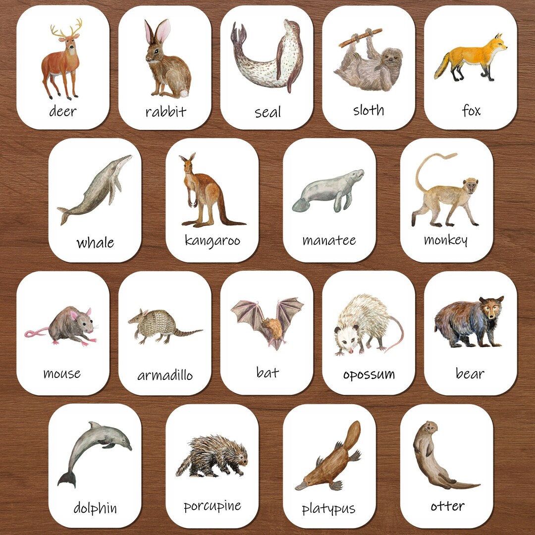 Mammals Flashcards: Watercolor Montessori Three-part Cards (PDF ...