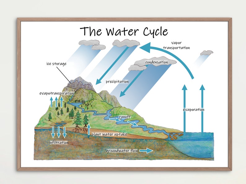 The Water Cycle Diagram: Printable Classroom Poster Earth - Etsy