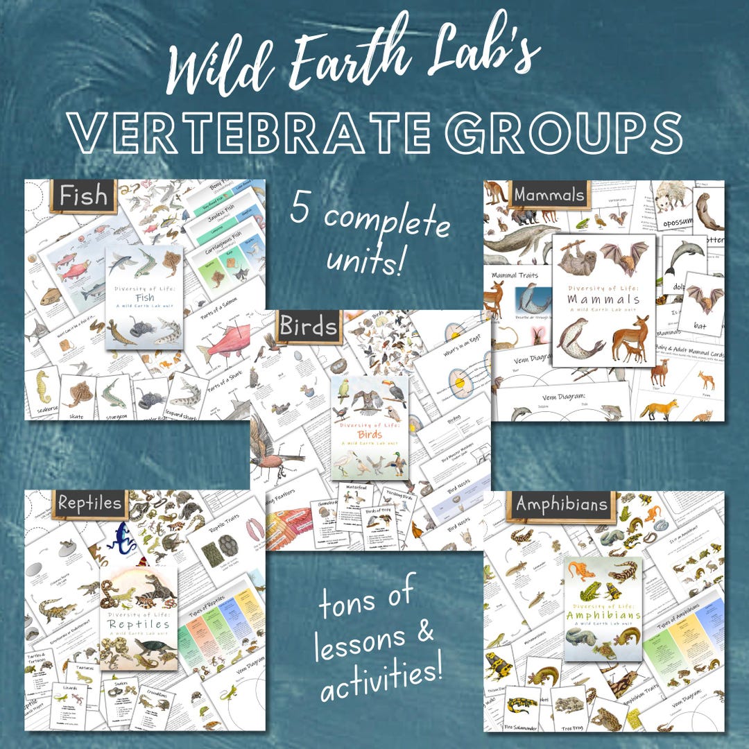 Vertebrate Groups Bundle: 5 Classroom Units on Amphibians, Birds, Fish ...