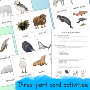 Arctic Unit: Homeschool Science, Animals, Food Web (PDF Download) - Etsy