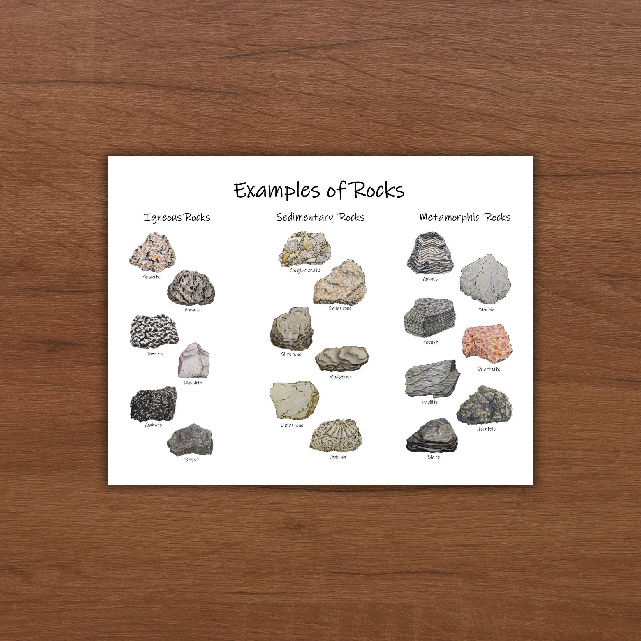 Common Rocks Classroom Poster: Igneous, Sedimentary, & Metamorphic ...