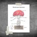 Mushroom Anatomy: Printable Labeled & Unlabeled Diagrams With Parts of ...