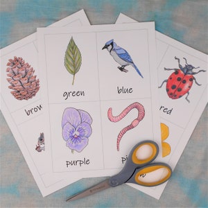 Nature Color Flashcards: Printable Three-part Cards Nature - Etsy