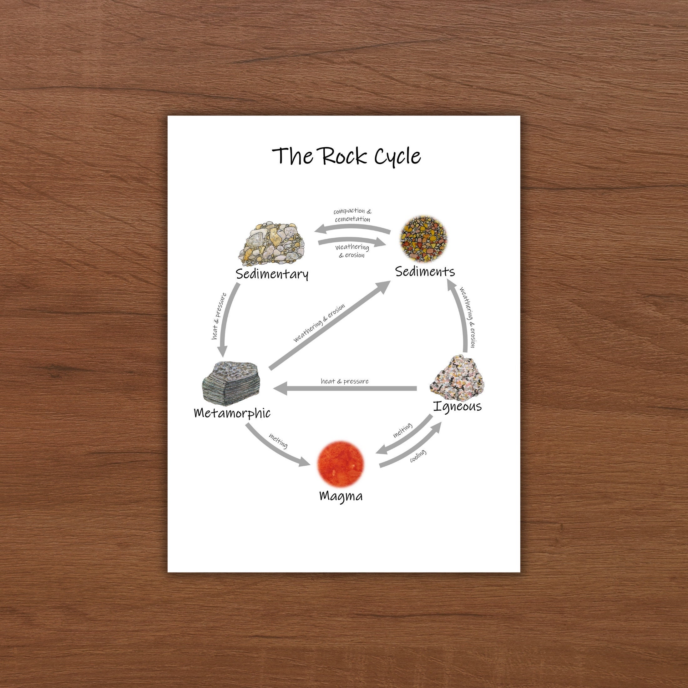 The Rock Cycle Diagram: Classroom Poster for Geology, Earth Science ...