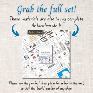 Whales Mini Study: Life Cycle, Anatomy, and Types of Whales - Printable ...