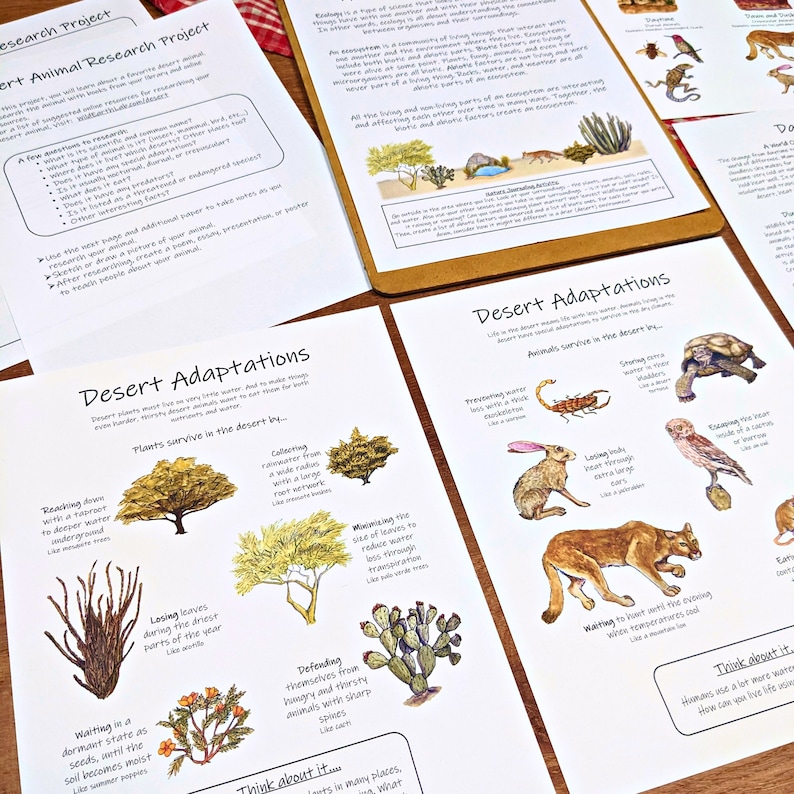 Desert Ecosystem Lesson: Plant & Animal Adaptations, Homeschool Science ...