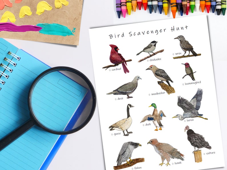 Bird Scavenger Hunt: Bird Watching for Kids, Afterschool Activity, Camp ...