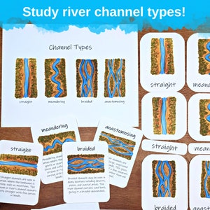 Stream Anatomy Study: Diagrams, Flashcards, Vocab (PDF Download) - Etsy