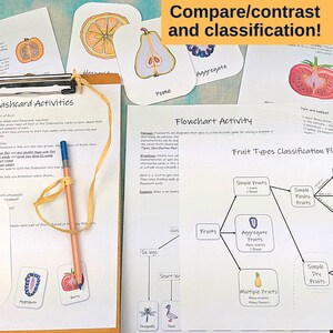 Fun With Fruit Unit: a Botany Lesson Plan Plant Science, Nature Study ...