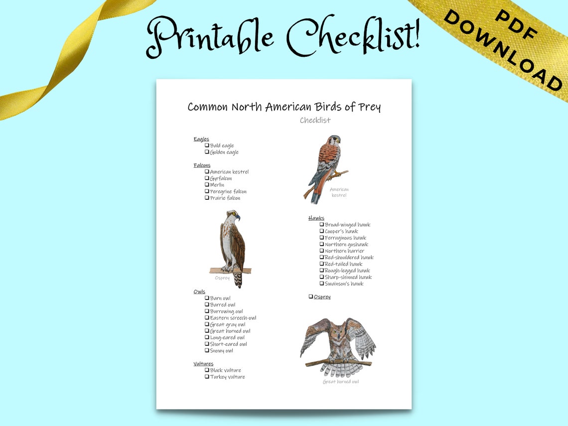 Common Raptors Checklist: North American Birds of Prey List - Etsy
