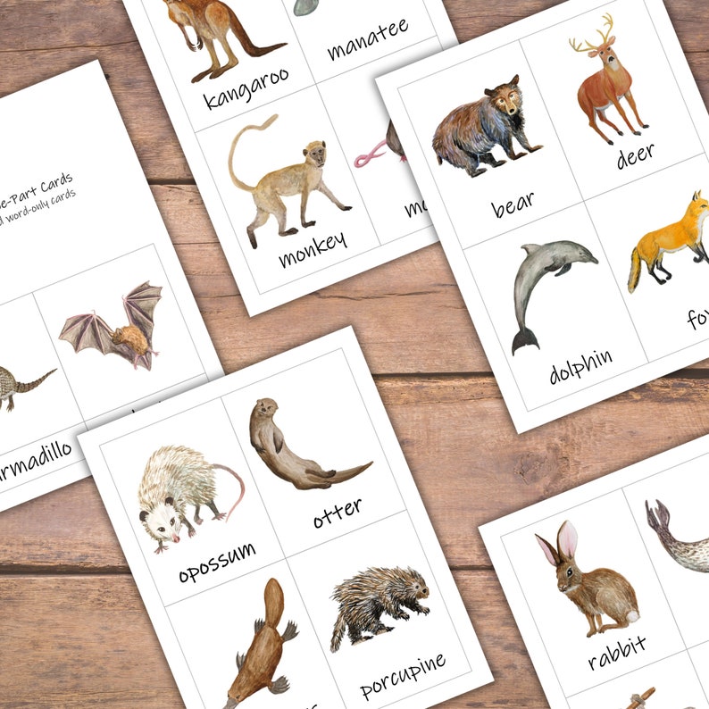 Mammals Flashcards: Watercolor Montessori Three-part Cards (PDF ...