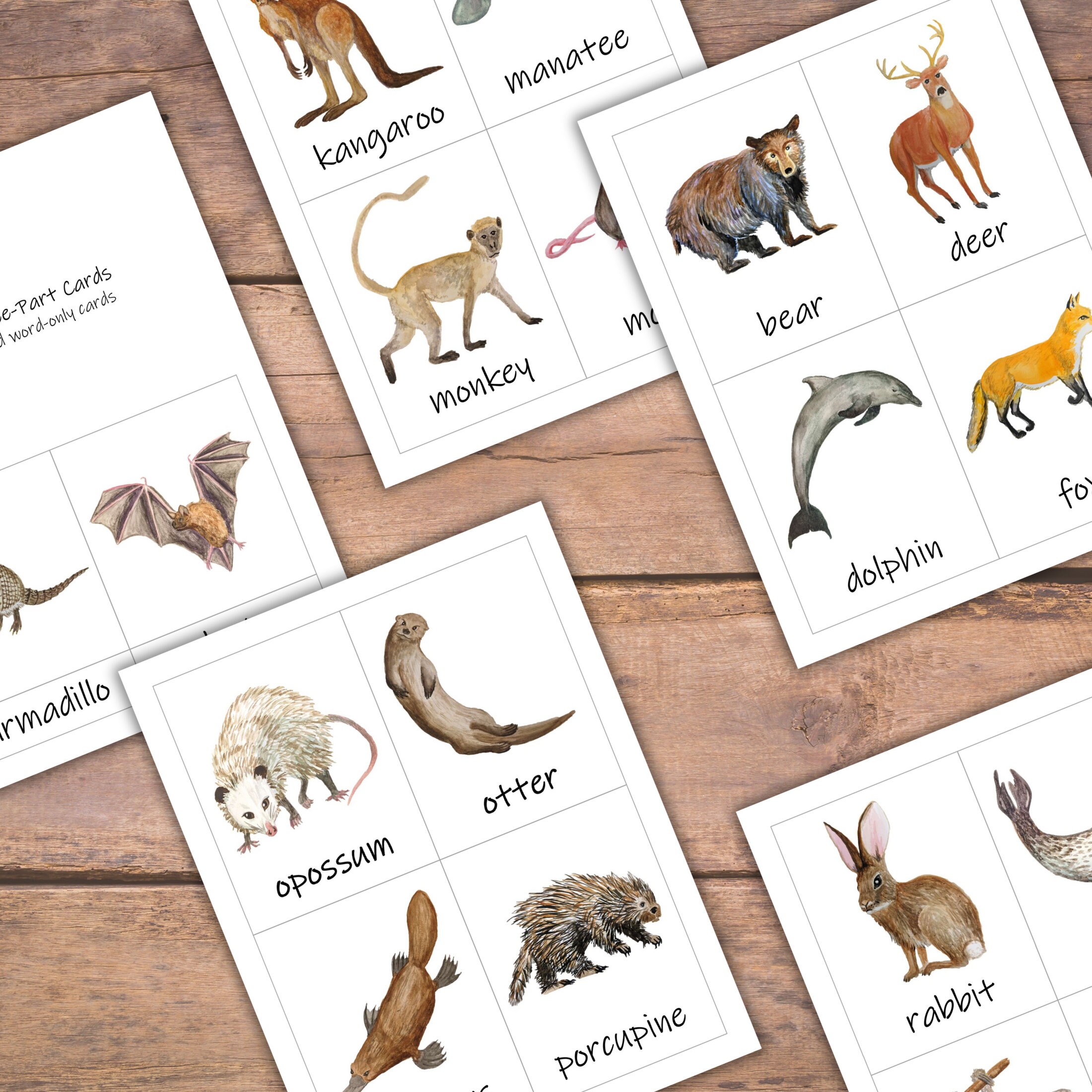 Mammals Flashcards: Three-part Cards, Montessori School, Forest School ...