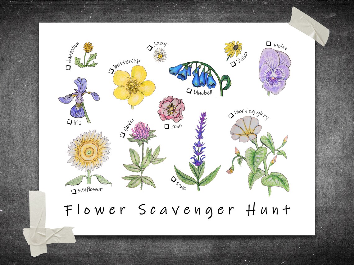 Flower Scavenger Hunt: Printable Outdoor Party Game Camping - Etsy