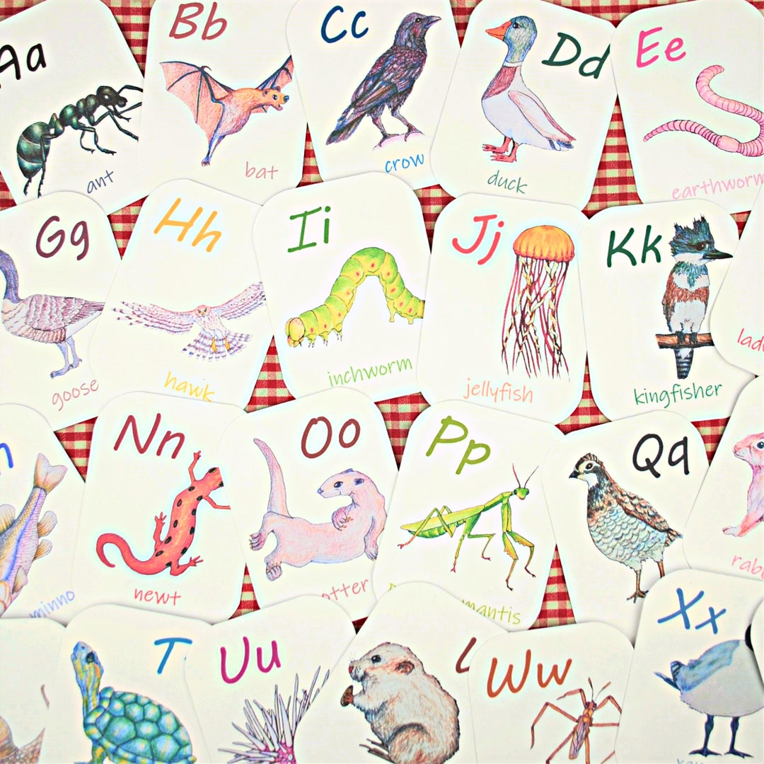 Wild Animal Alphabet Flashcards: 26 Printable Cards Featuring Animals A ...