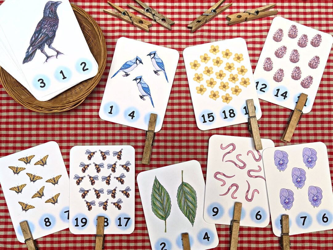 Nature Count and Clip Cards: Preschool Activity, Numbers for Toddlers ...