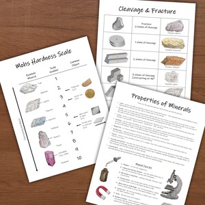 Minerals Mini Study: Geology Lab Activities (PDF Download) - Etsy