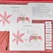 Plant Anatomy Mini Study: Botany Activity Pack (PDF Download) - Etsy