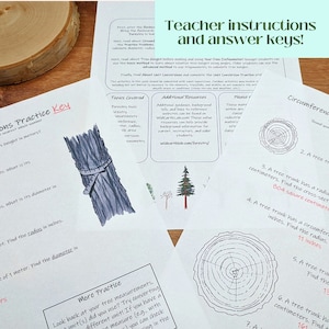 Math in the Forest Unit: Outdoor Applied Math Activities! Pi, Angles ...