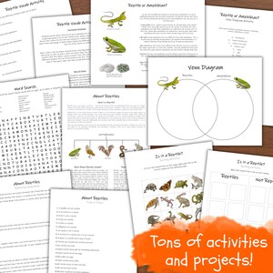 Reptiles Unit: Biodiversity Homeschool Lessons (PDF Download) - Etsy