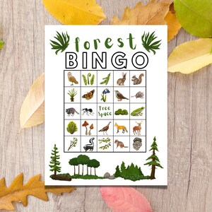Forest Bingo: Printable Game for Camping, Forest School, Woodland ...