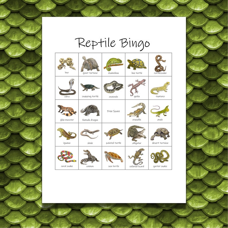 Reptile Bingo Set: 25 Unique Bingo Cards With Calling Cards Kids ...