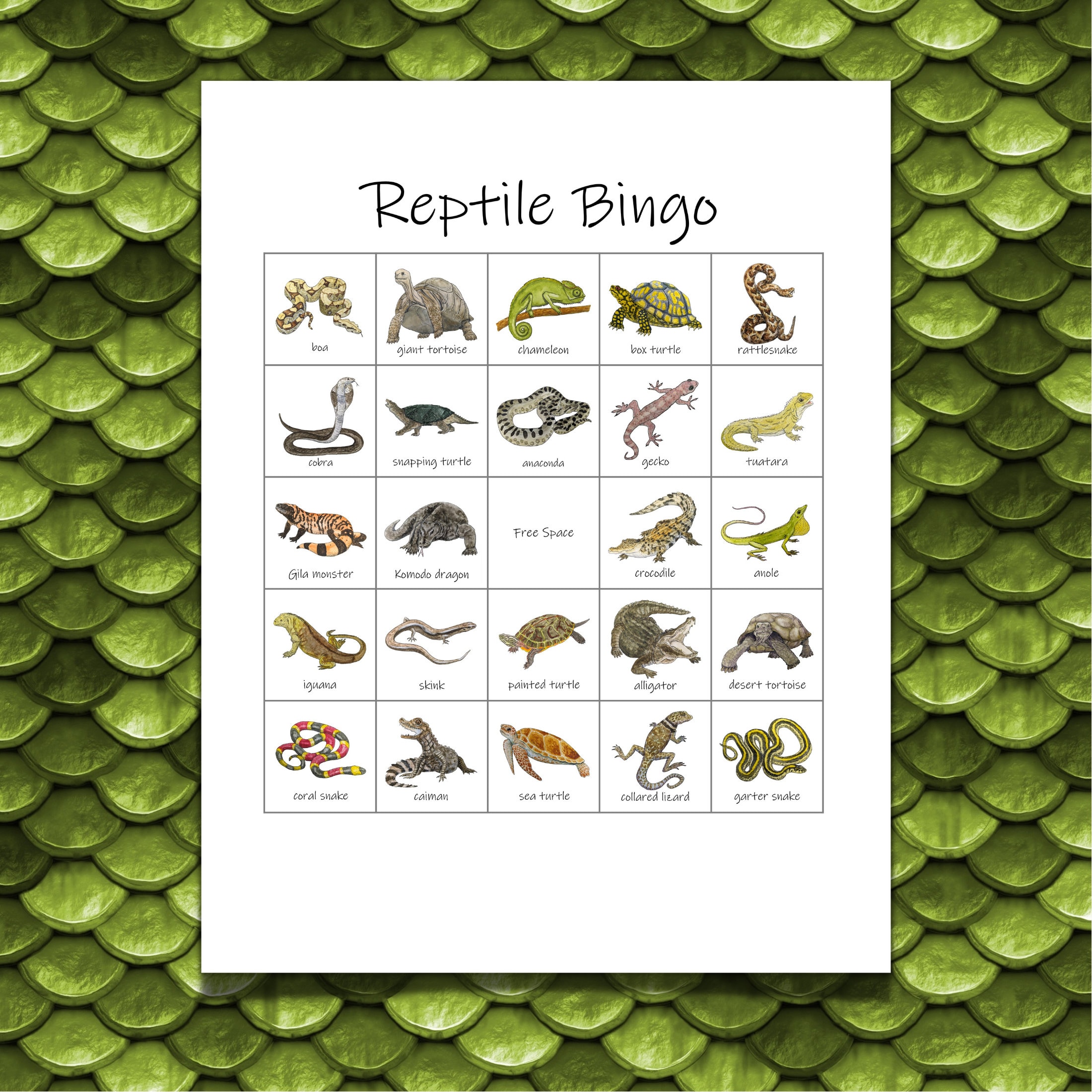 Reptile Bingo Set: 25 Unique Bingo Cards With Calling Cards Kids ...