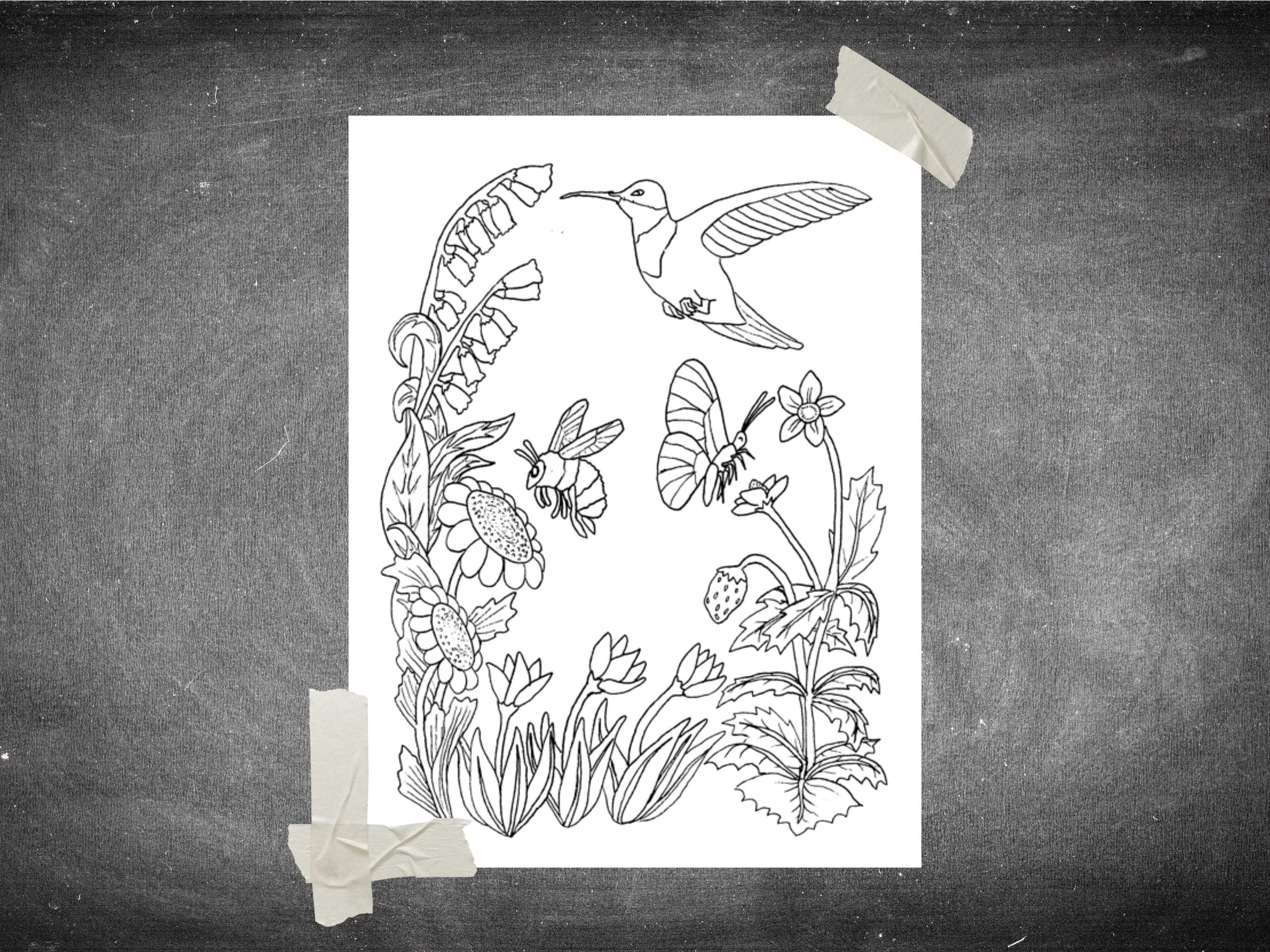 Pollination Coloring Page: printable pollinators coloring for - Etsy México