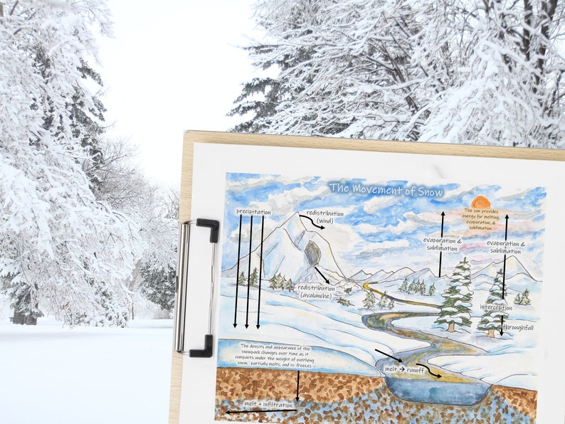 Movement of Snow Diagram: Winter Water Cycle Snow in the - Etsy