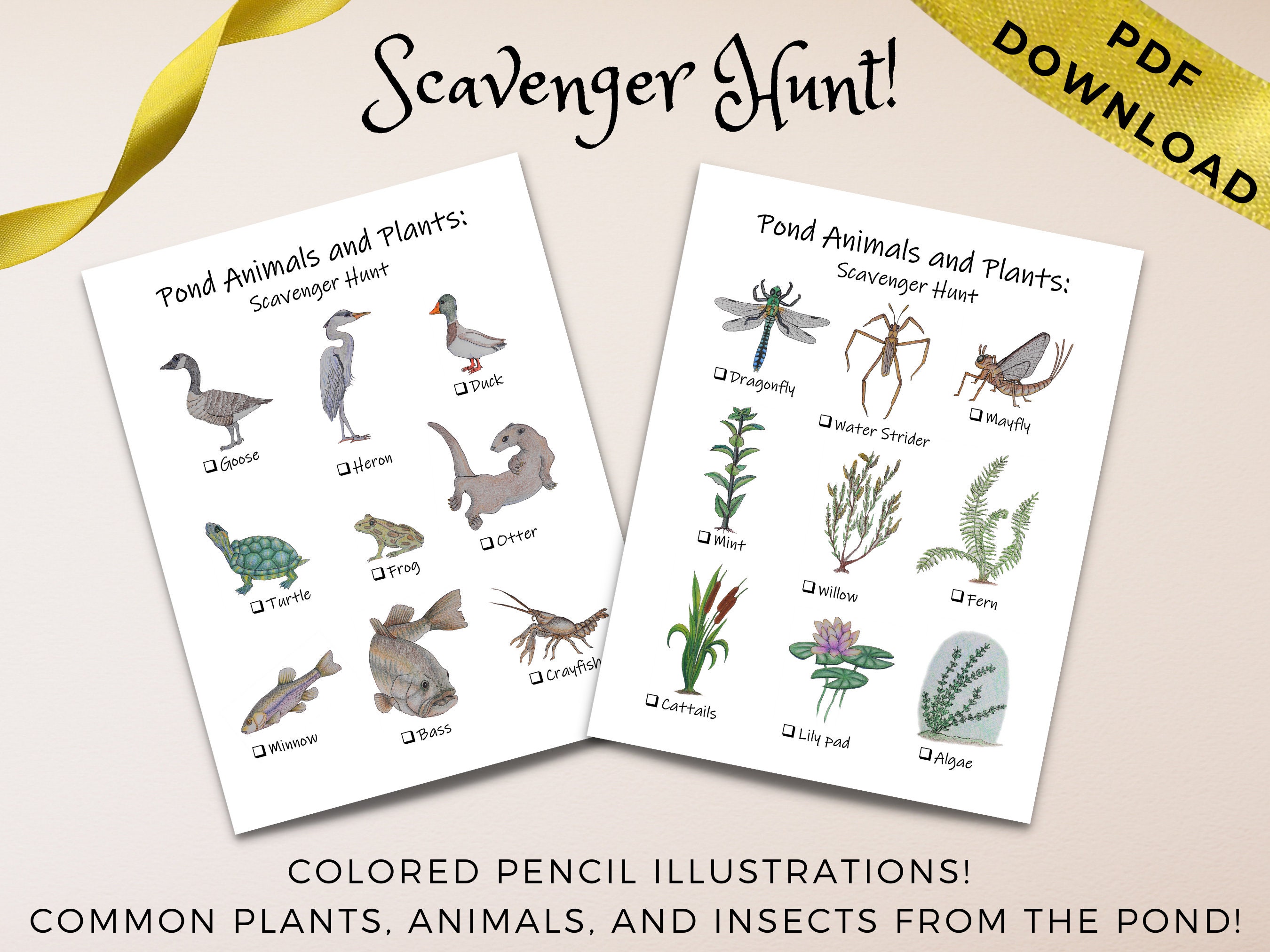 Pond Scavenger Hunt: Printable Game for Kids Wetland Field - Etsy Canada