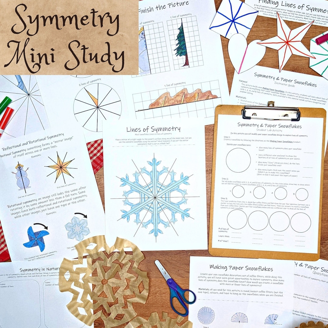 Symmetry Mini Study: Math Lesson Plan Geometry Activity Pack, Math ...