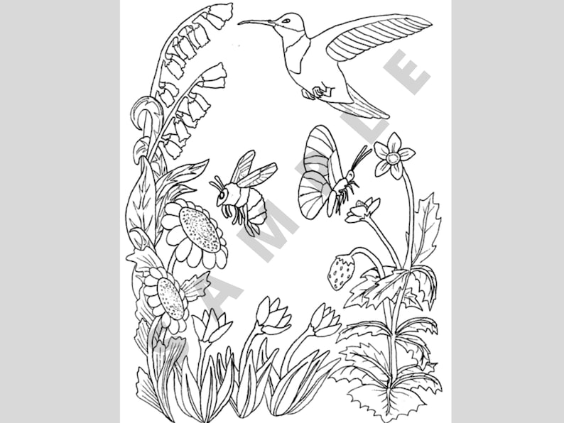 Pollination Coloring Page: Printable Pollinators Coloring for - Etsy India