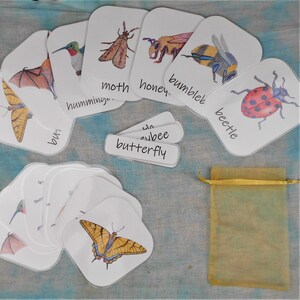 Pollinators: 7 Printable Three-part Cards, Preschool Activity, Forest ...