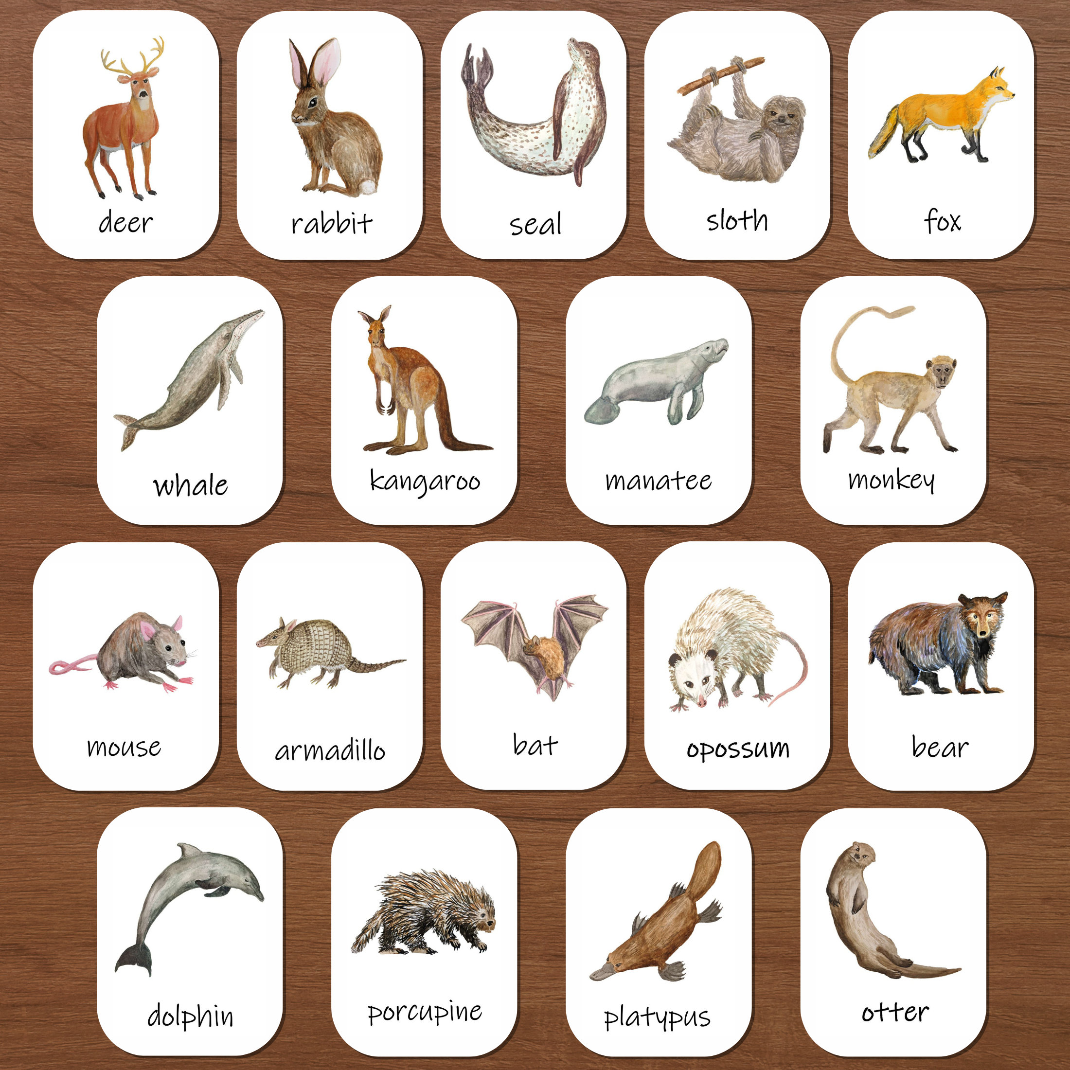 Mammals Flashcards: Three-part Cards, Montessori School, Forest School ...