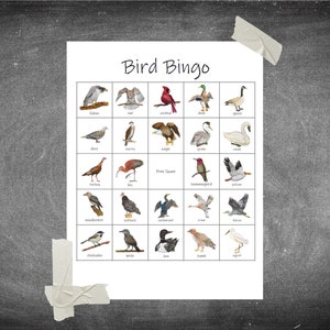 Bird Bingo Set: 20 Unique Bingo Cards With Calling Cards! Kids ...
