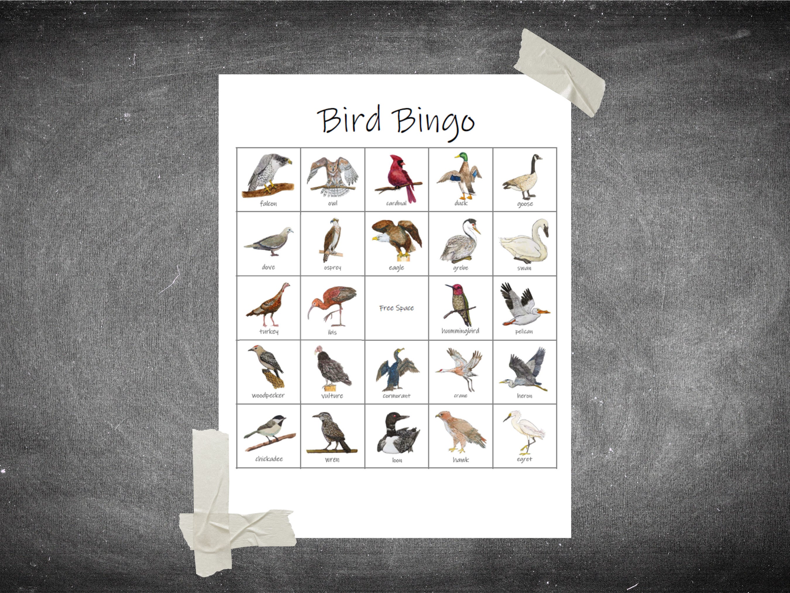 Bird Bingo Set: 20 Unique Bingo Cards With Calling Cards Kids' Birthday ...