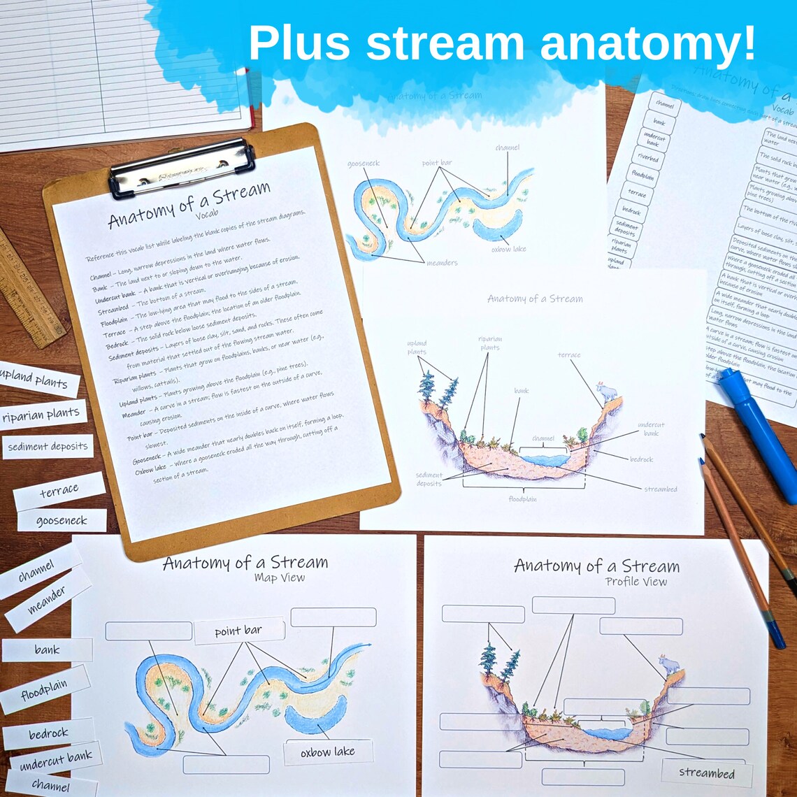 Science on the River: STEM Unit Study With Outdoor Projects and Hands ...