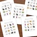 Minerals Bingo: 25 Unique Cards for Classroom Mineral ID Review Game - Etsy
