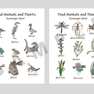 Pond Plants & Animals Scavenger Hunt: Printable Nature Study Activity ...