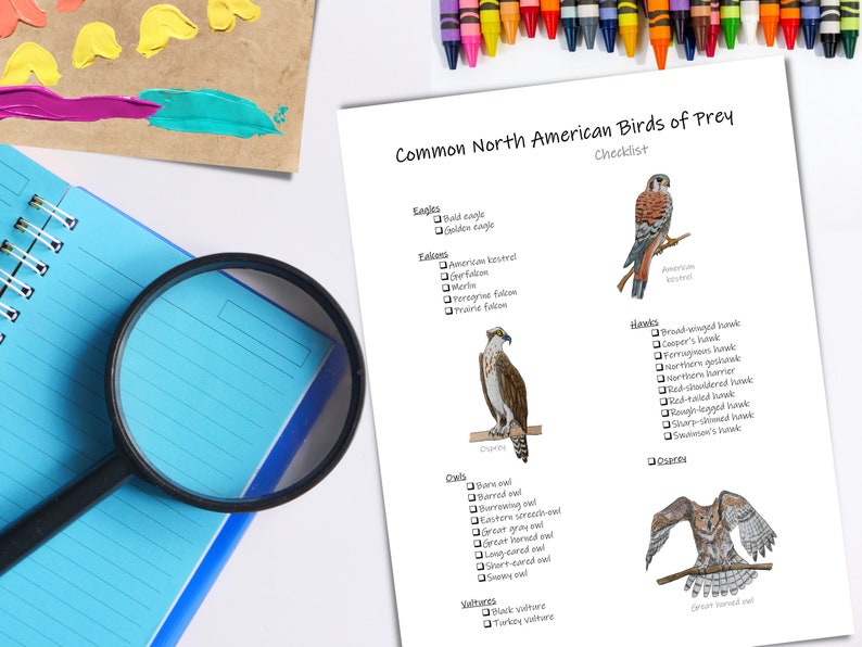Common Raptors Checklist: North American Birds of Prey List - Etsy
