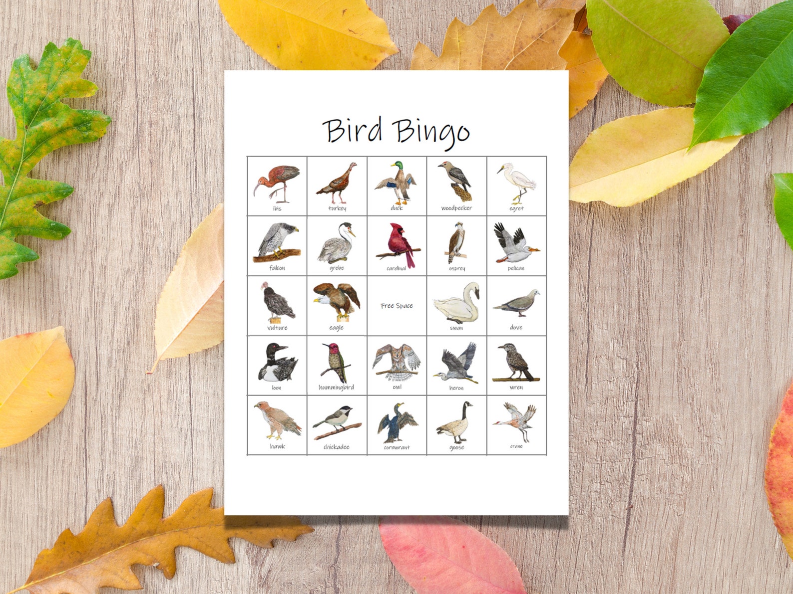 Bird Bingo Set: 20 Unique Bingo Cards With Calling Cards Kids' Birthday ...